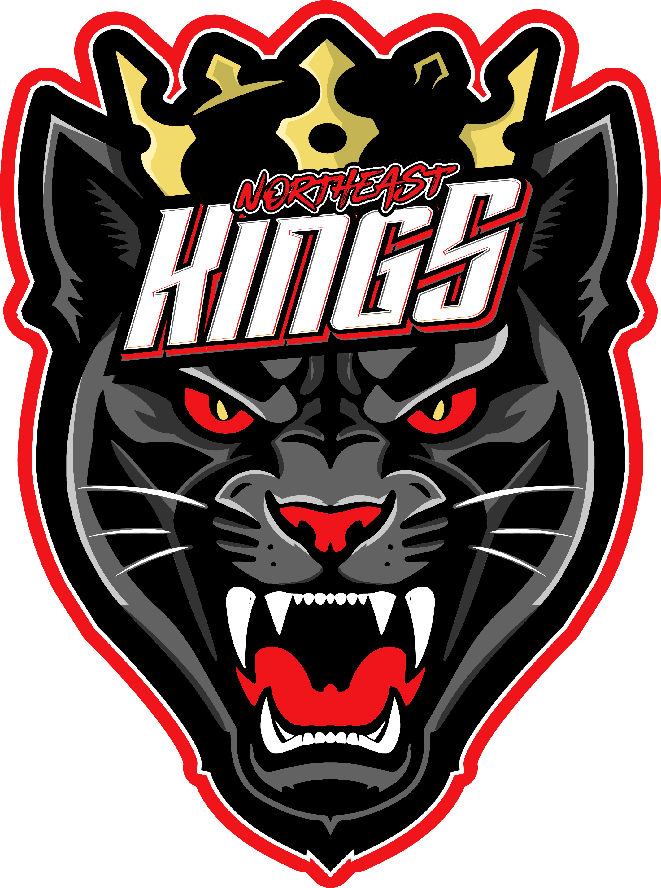 The Kings Football Team's Flowpage