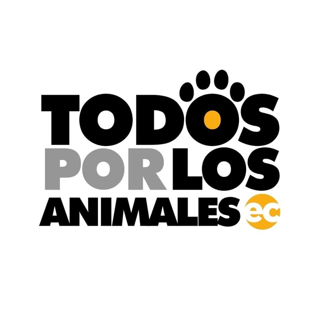 Marcelo Cordero G.'s Flowpage