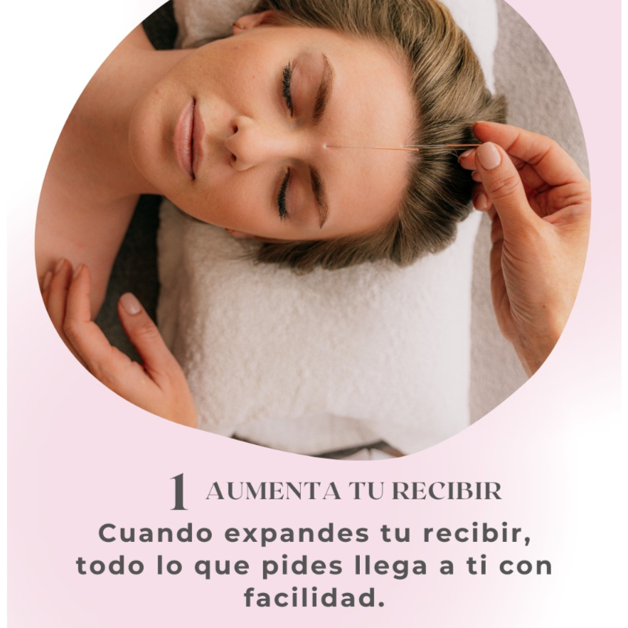 Erica Duarte 's Flowpage