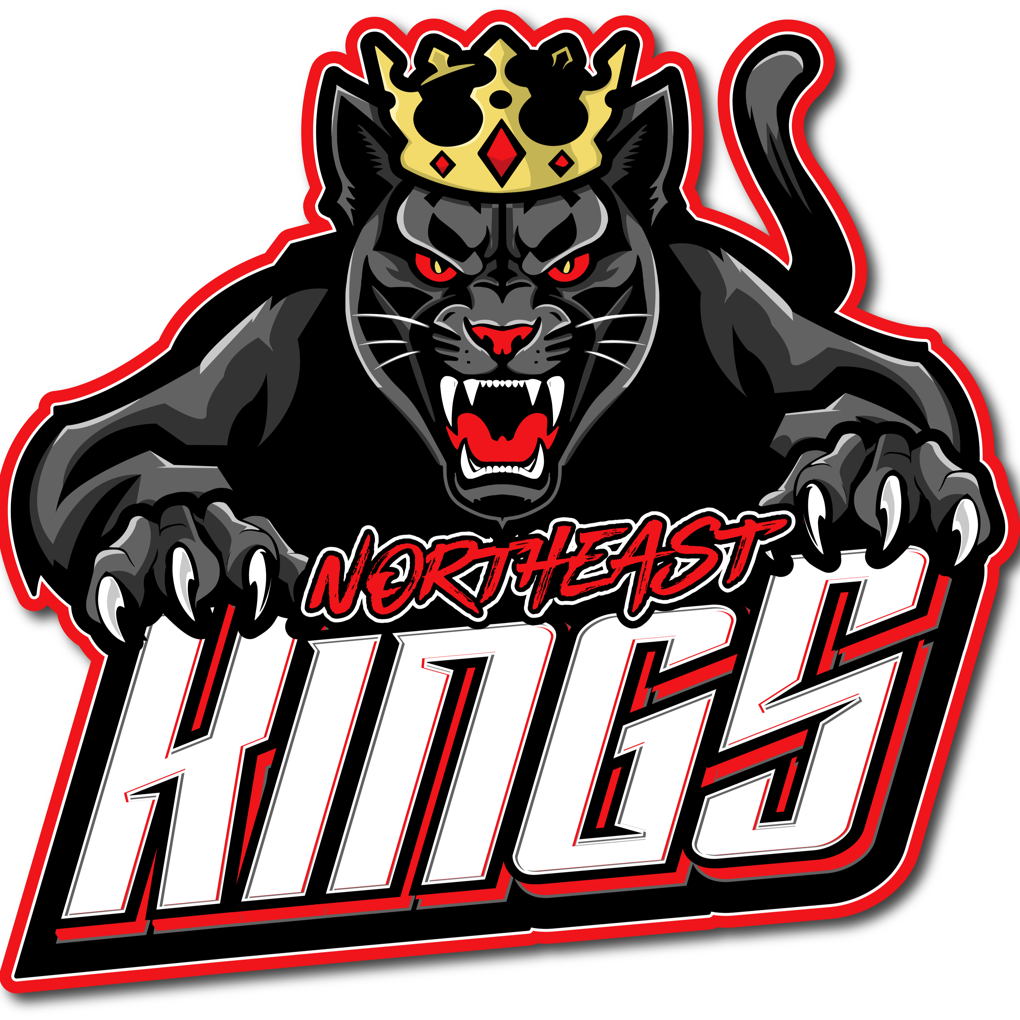 The Kings Football Team's Flowpage